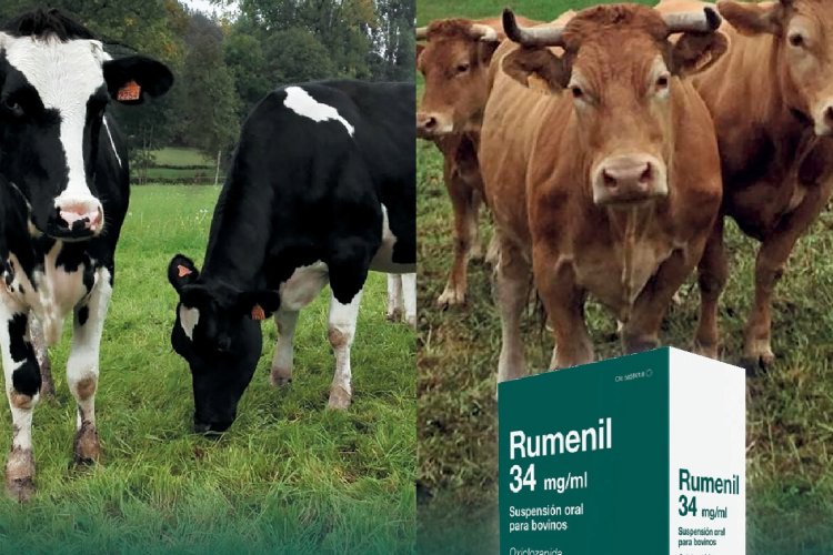 ANTIPARASITARIO VACUNO