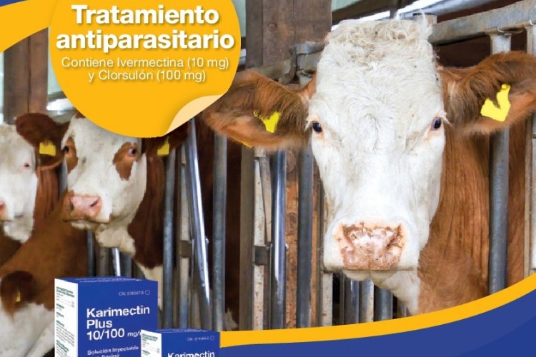 ANTIPARASITARIO VACUNO